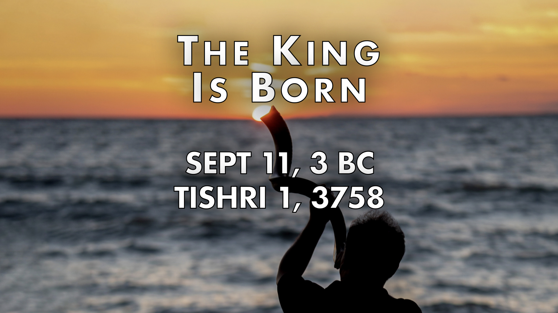 Sept 11 – The King Is Born – Wellspring